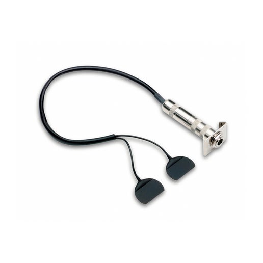 Fishman BP100 Acoustic Bass Pickup | Music Works